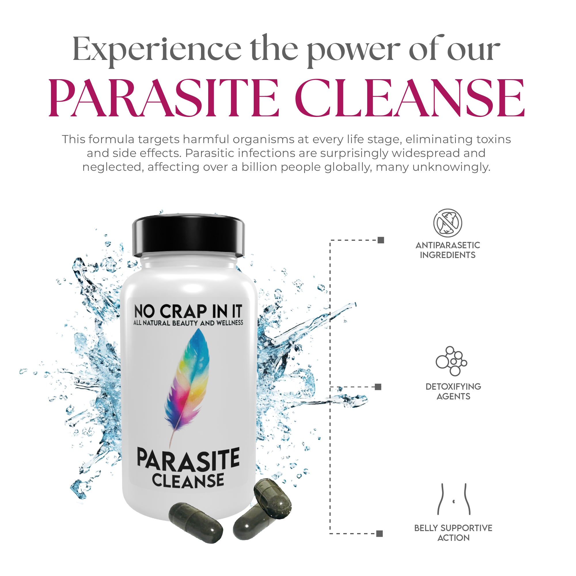 Parasite Cleanse – No Crap In It